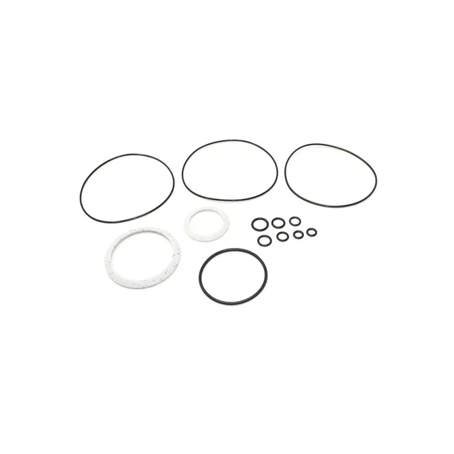 Hydrostatic Motor Seal Kit, 6514895 — 2M Equipment